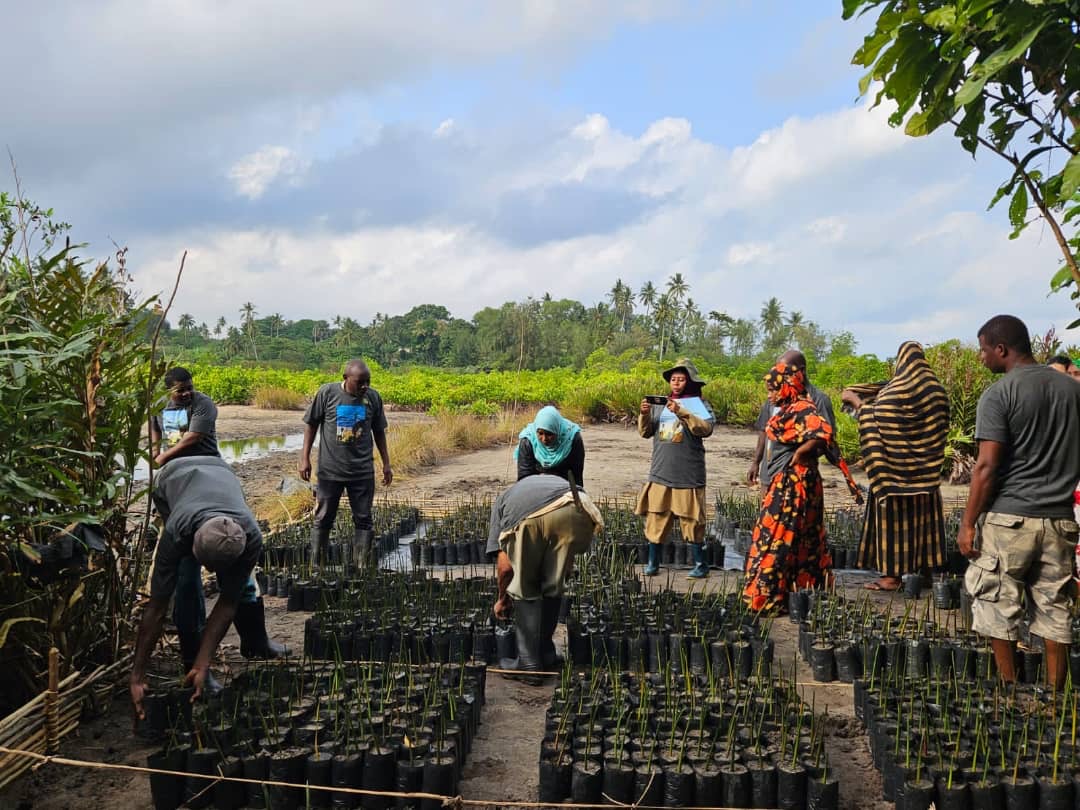 Strengthening the Contribution of Local Actors for a Climate Resilient ...
